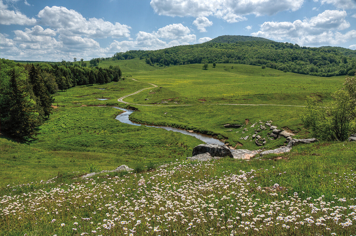 A Creek Runs Through It – Wonderful West Virginia Magazine