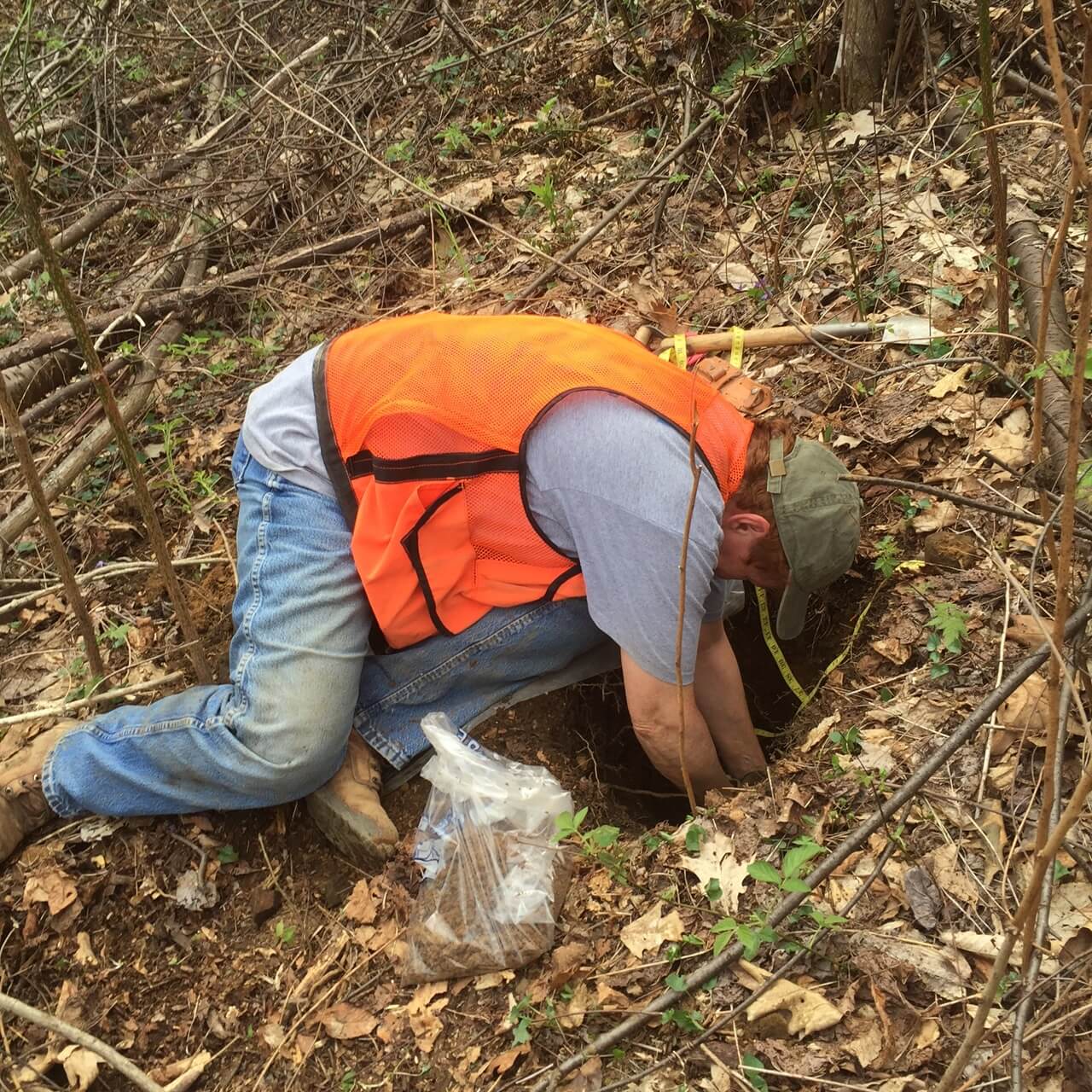 Seeing the Forest for the Trees – Wonderful West Virginia Magazine