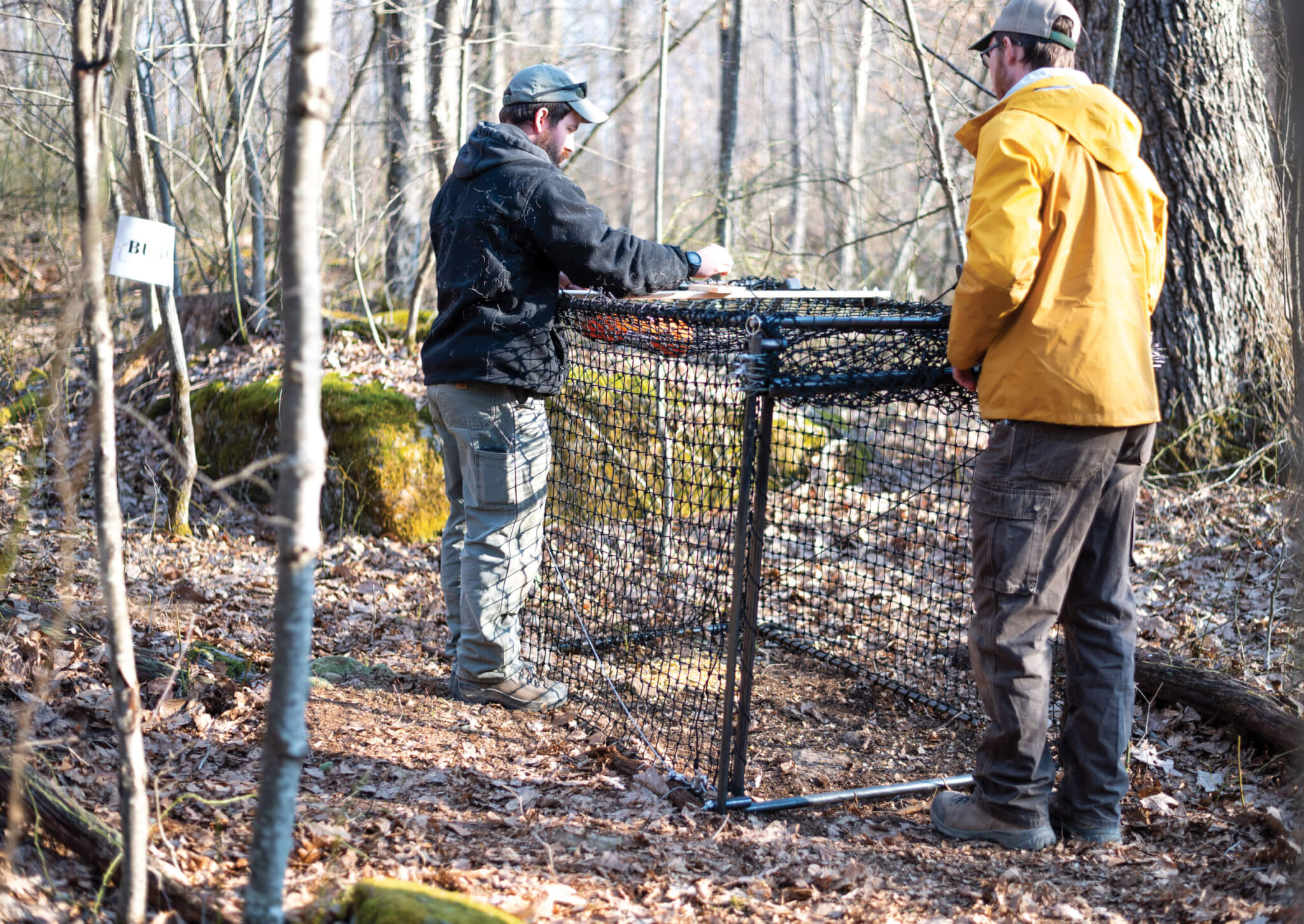 The Deer Project – Wonderful West Virginia Magazine