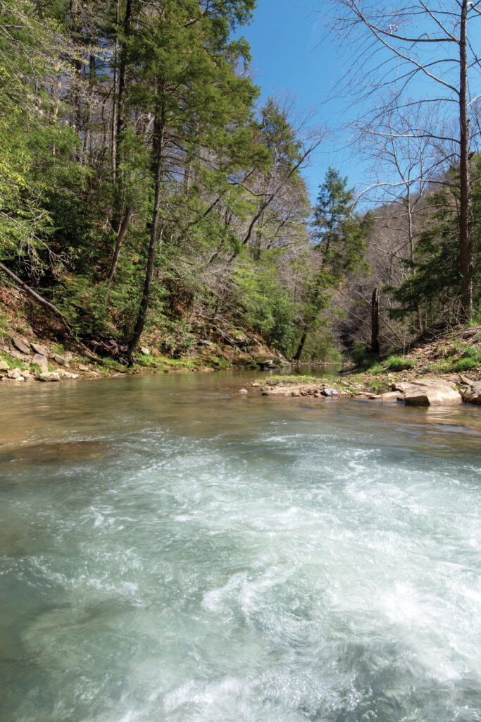 Where Community and Wilderness Meet – Wonderful West Virginia Magazine