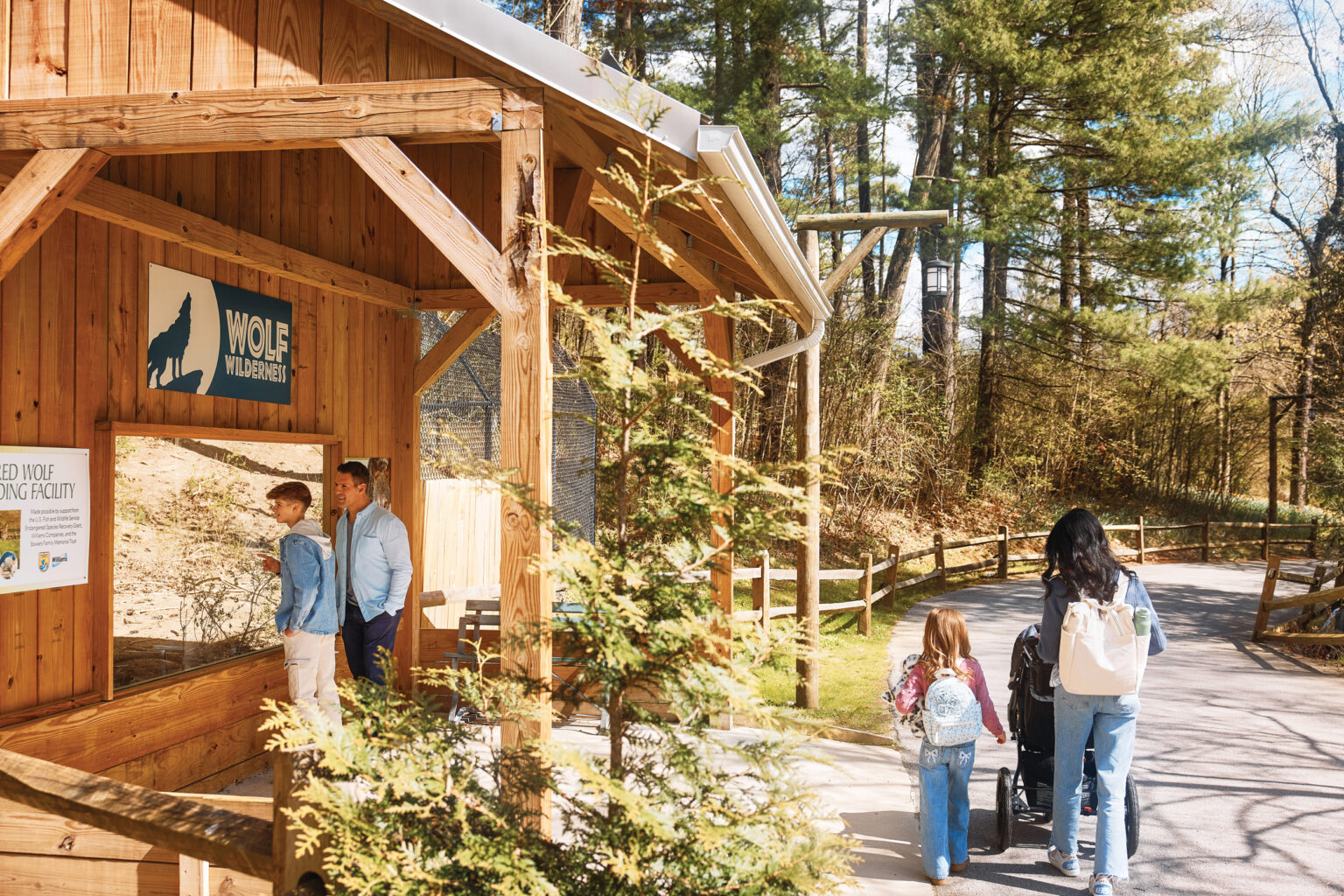 West Virginia’s Old Growth Forests – Wonderful West Virginia Magazine